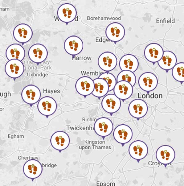 Dog Walking | PetBacker