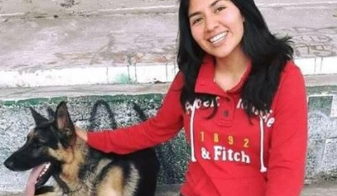 Alojamiento de perros en casa, Cuidado de mascotas, Paseo de perros ...